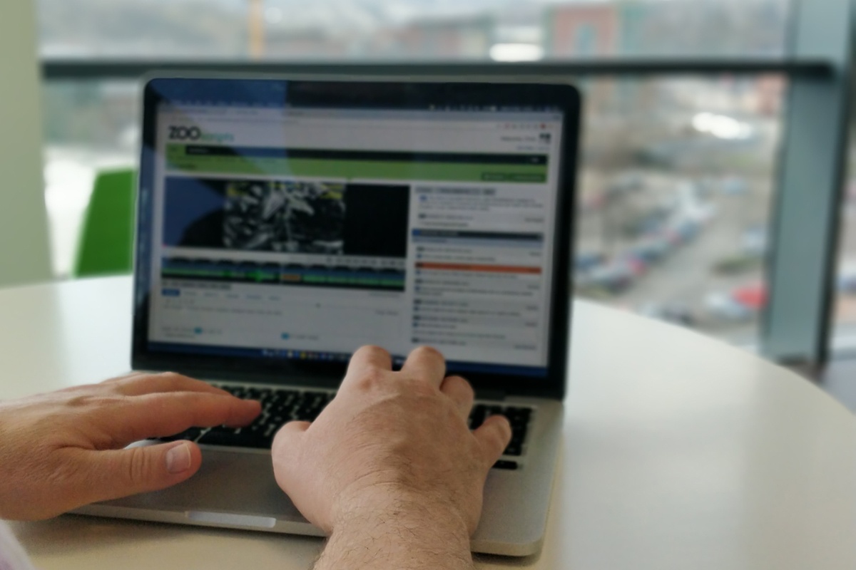 ZOO Digital celebrates launch of cloud-powered scripting service - ZOO ...