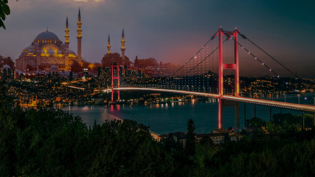 Istanbul - ZOO Digital